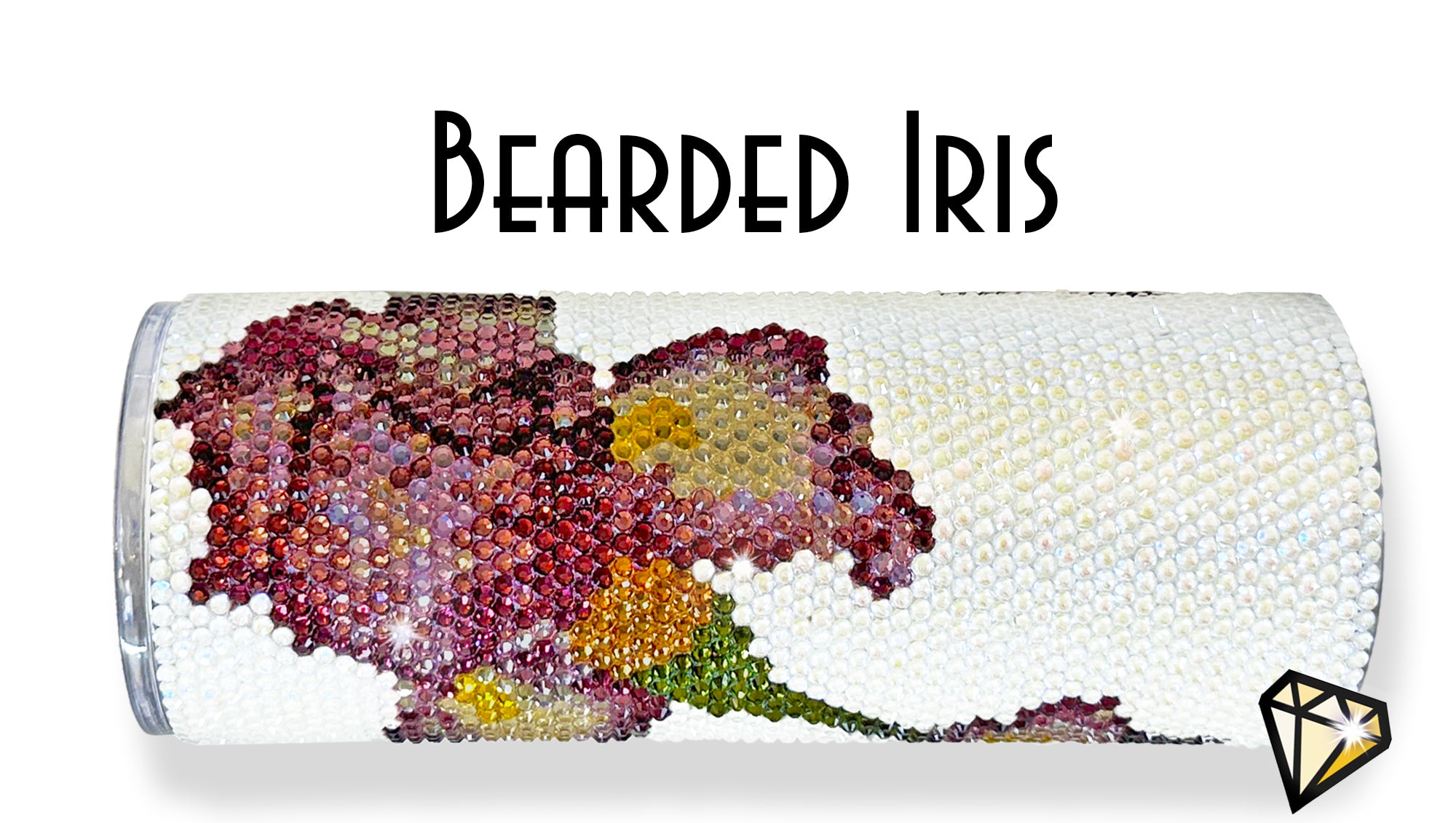 Bearded Iris – Bling the North